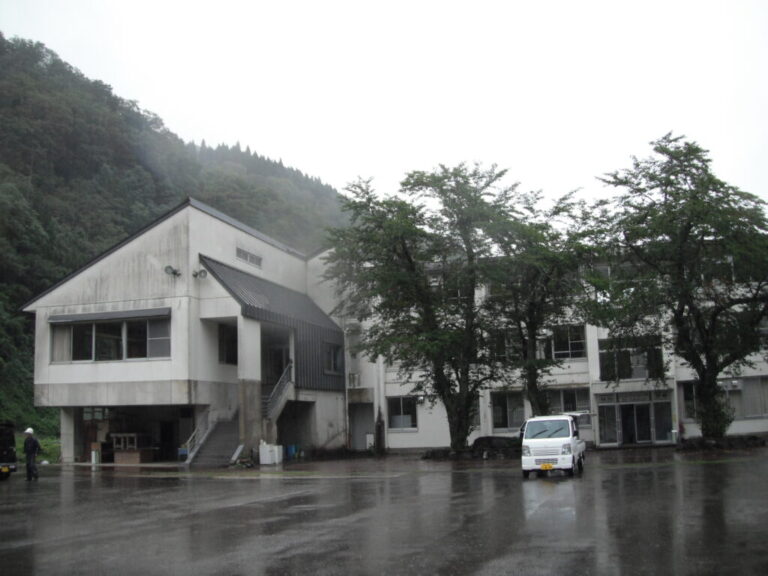 森を守るために国産の割り箸をつくる｜JUON NETWORKの取り組み | ミズテル